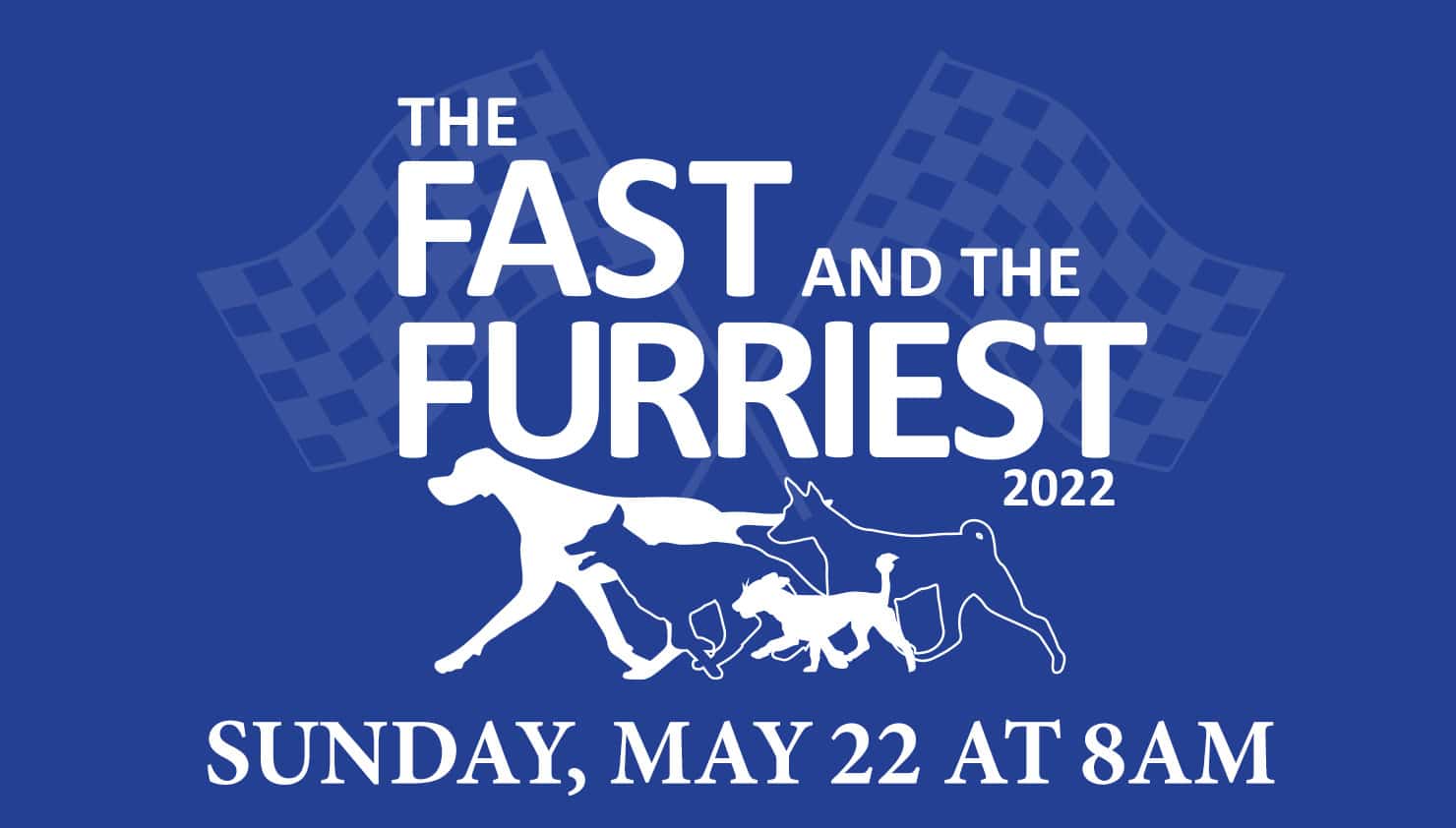 Cedar Bend Humane Society Furry 5K Run / Walk - Fitness Sports Running ...